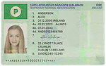 Irish Fake ID the Ireland Fake ID Expert